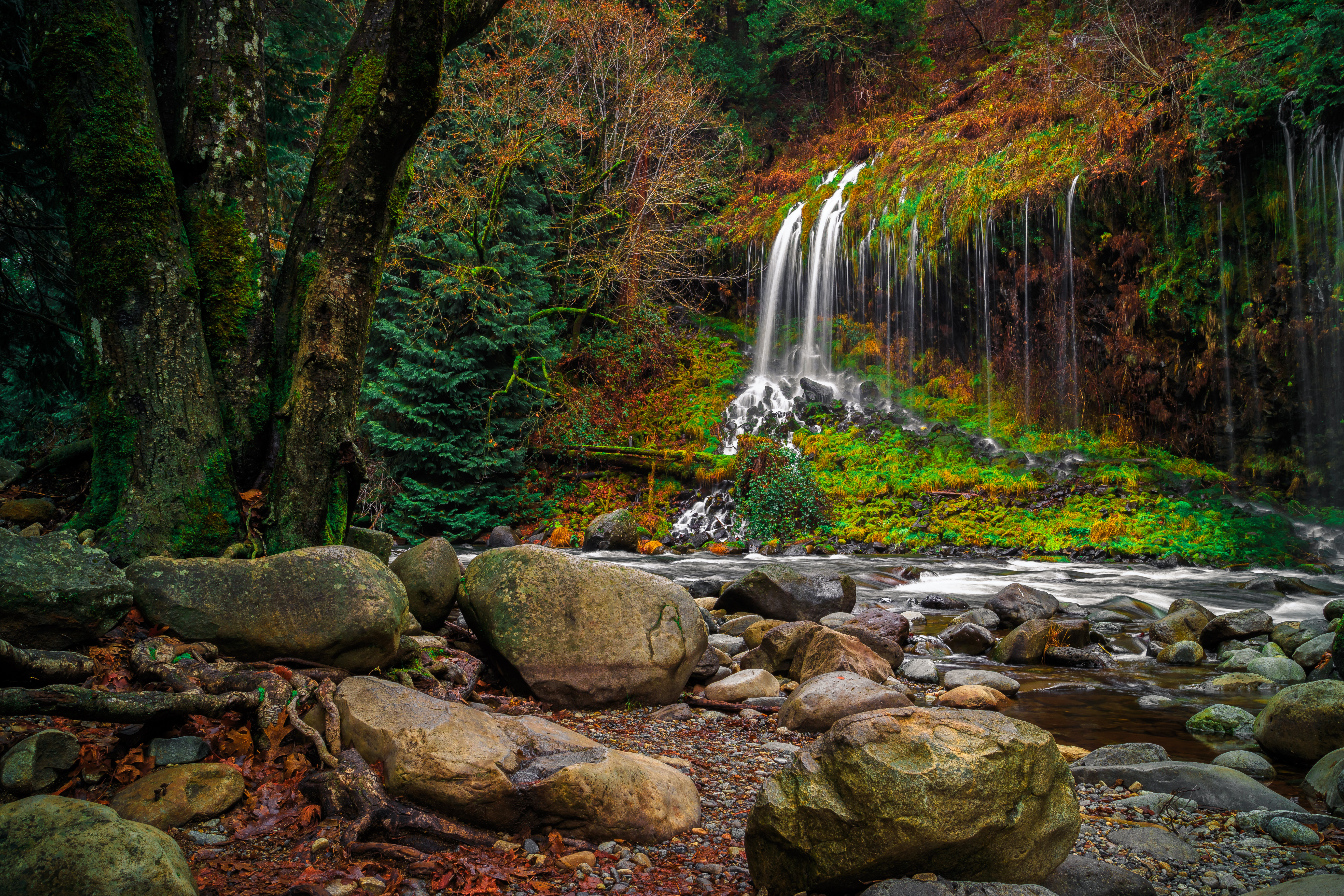 Loon Peak® Poarch Mossbrae Falls, California On Canvas by Bartfett ...