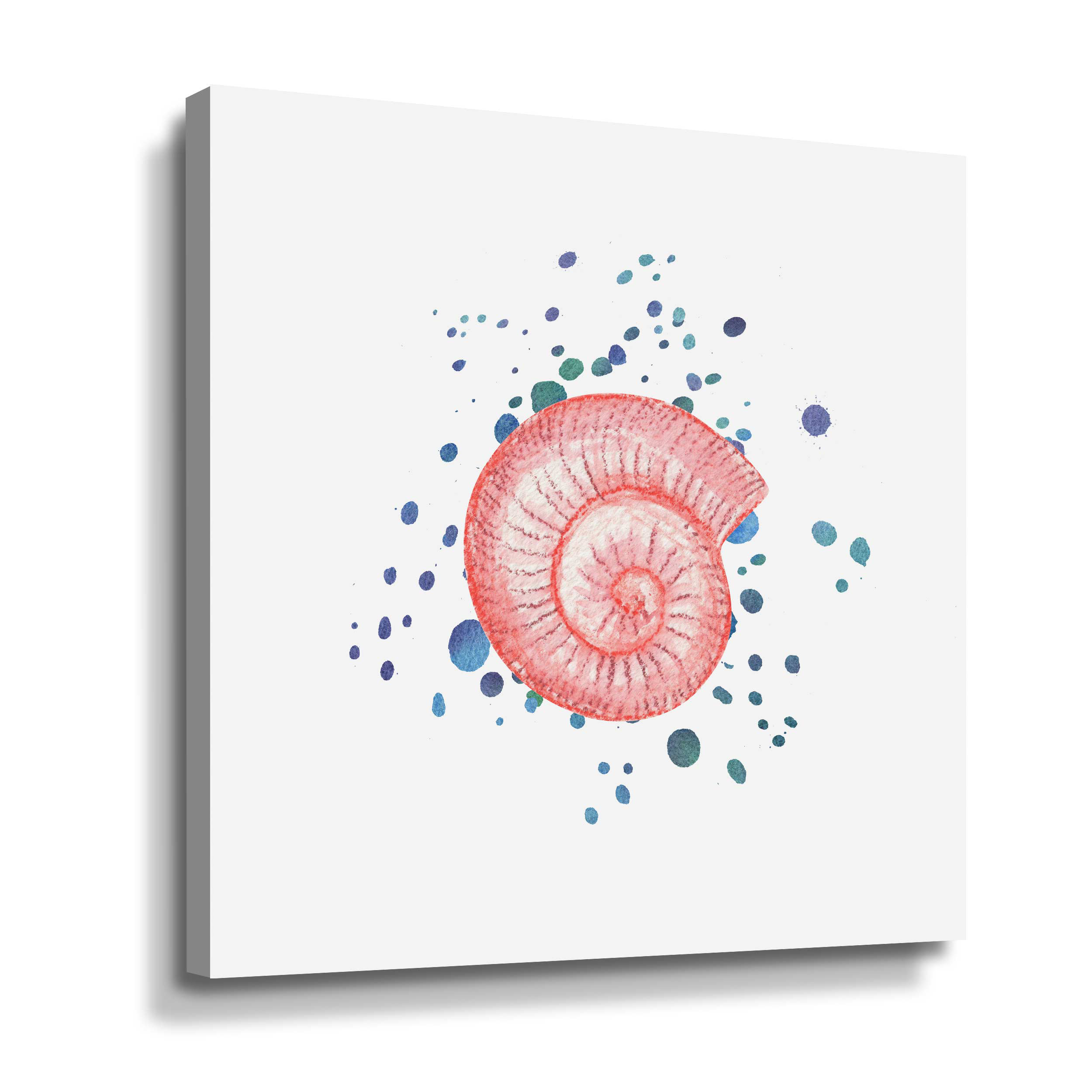 Highland Dunes Franque Soft Pink Watercolor Sea Shell On Water Drops ...