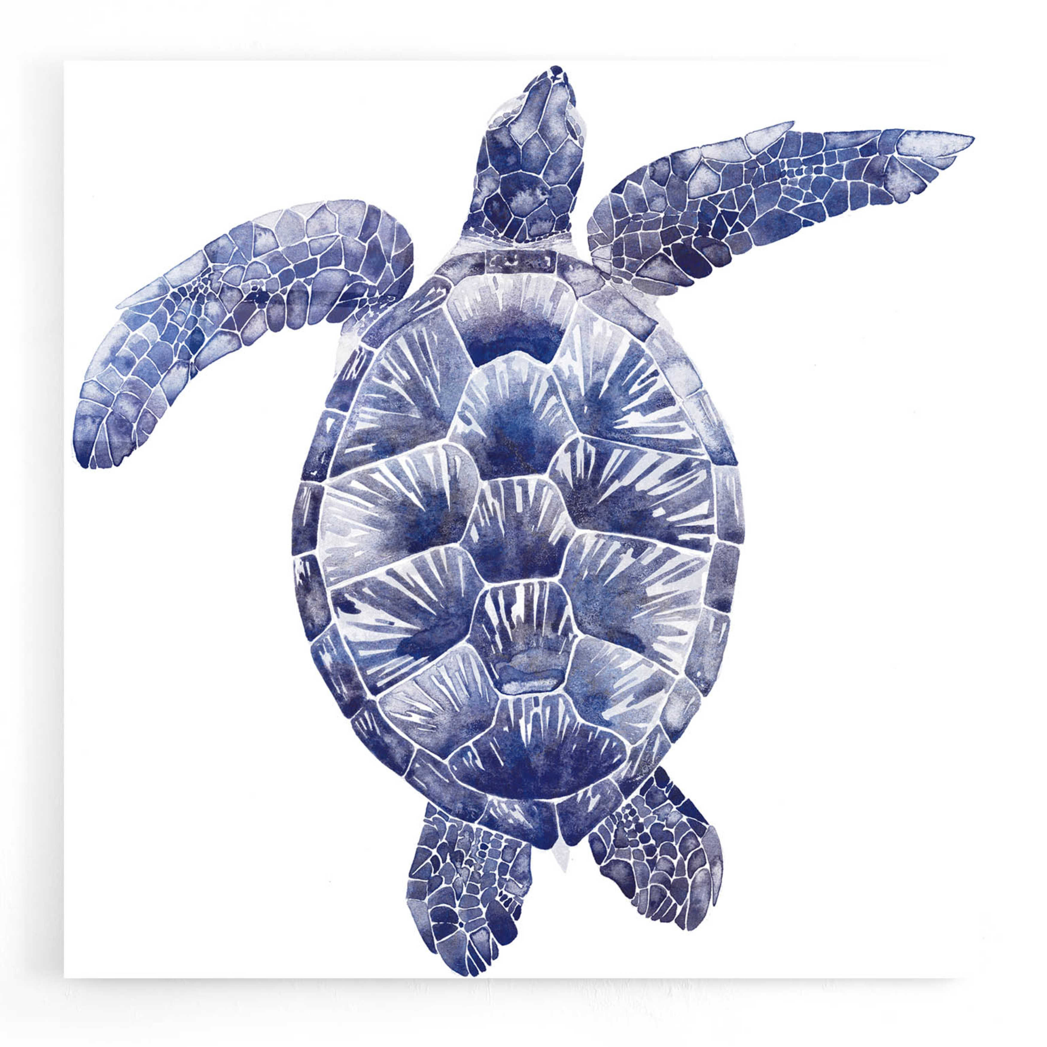 Bay Isle Home™ Marine Turtle II by Grace Popp - Unframed Painting ...