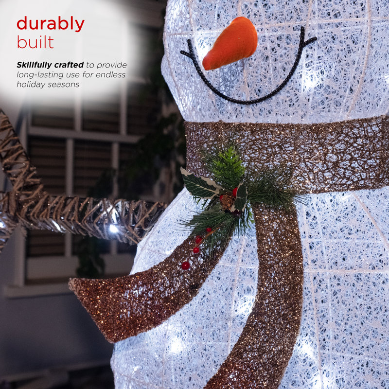 The Holiday Aisle® Snowman Lighted Display & Reviews | Wayfair