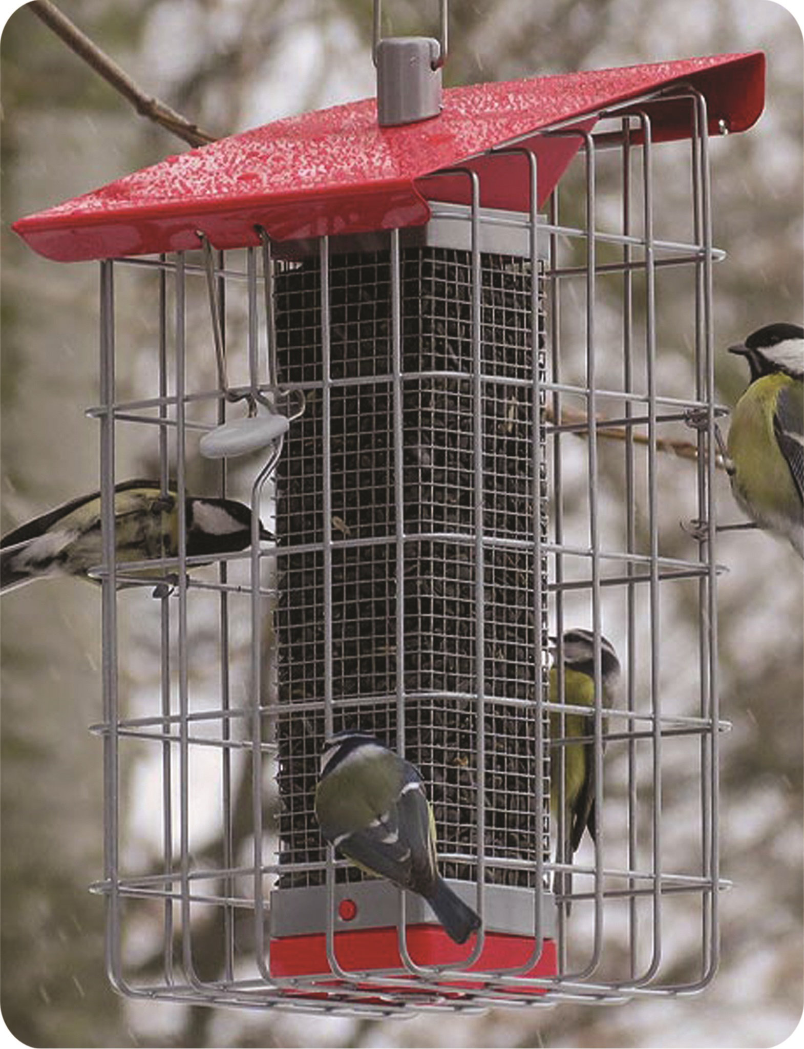 Arlmont & Co. Staffard Bird Feeder | Wayfair