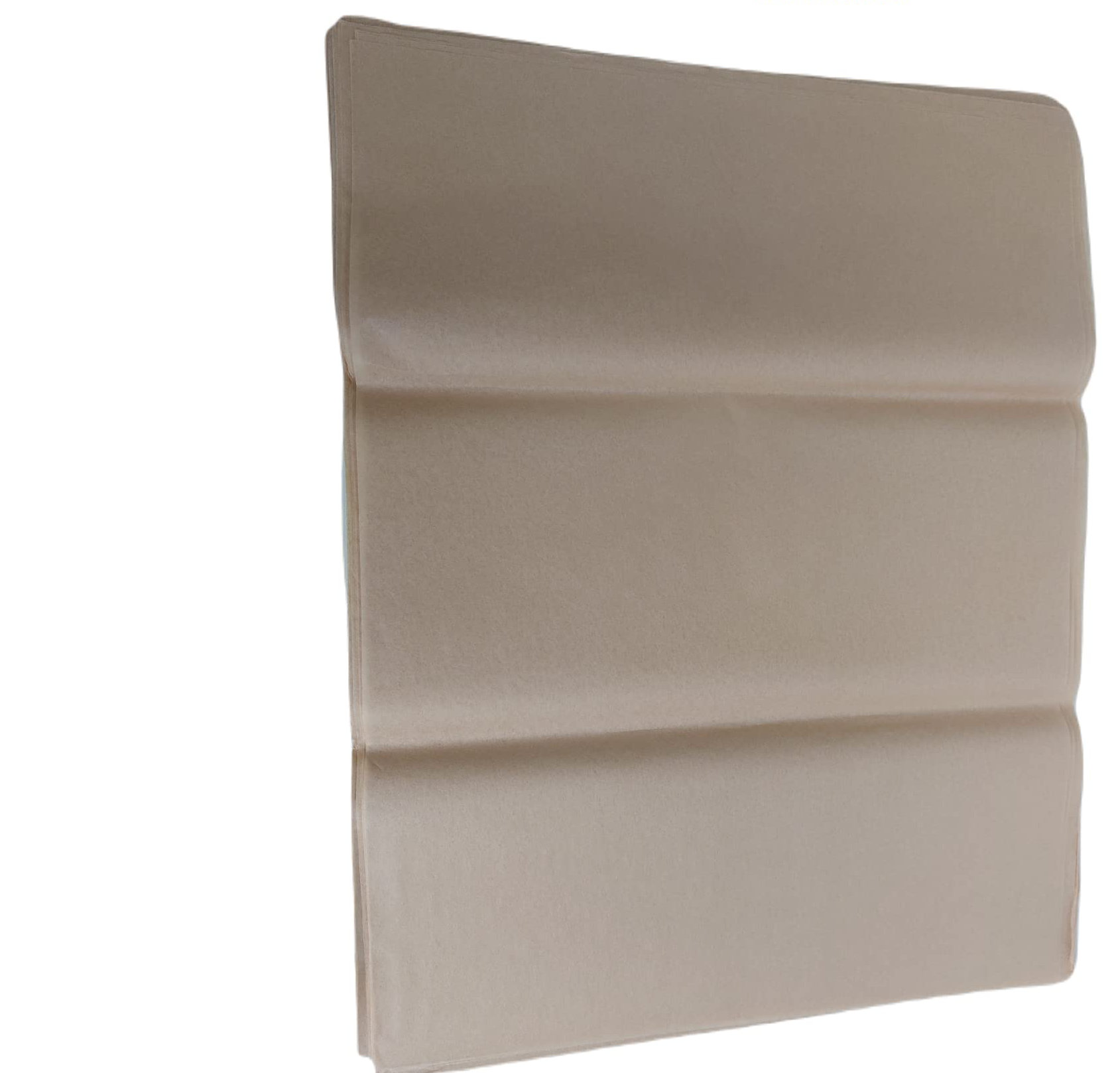 Feronia Packaging Paper New Baby Tissue Flowers | Wayfair