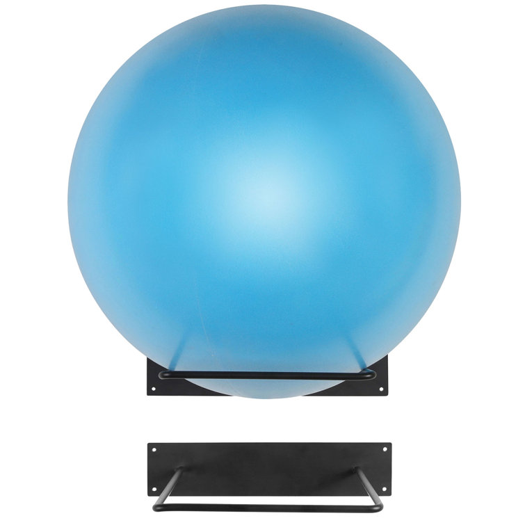 Rebrilliant Metabel Metal Wall Mounted Yoga Ball Sport Rack | Wayfair