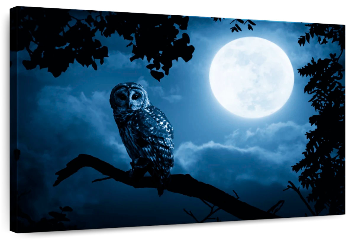 Ebern Designs Brampt Watchful Night Owl | Wayfair