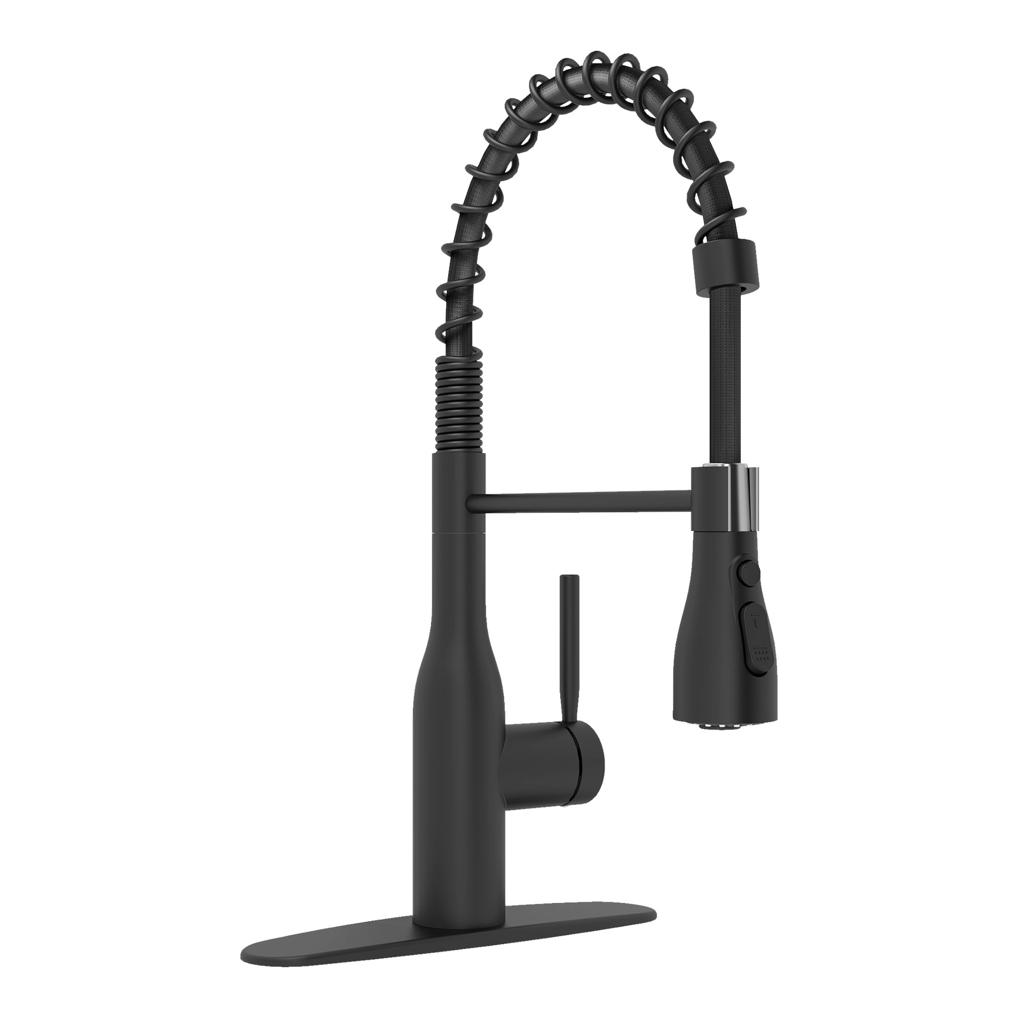 SUNRINX Single Handle Pull-down Spring Neck Sprayer Kitchen Faucet with ...