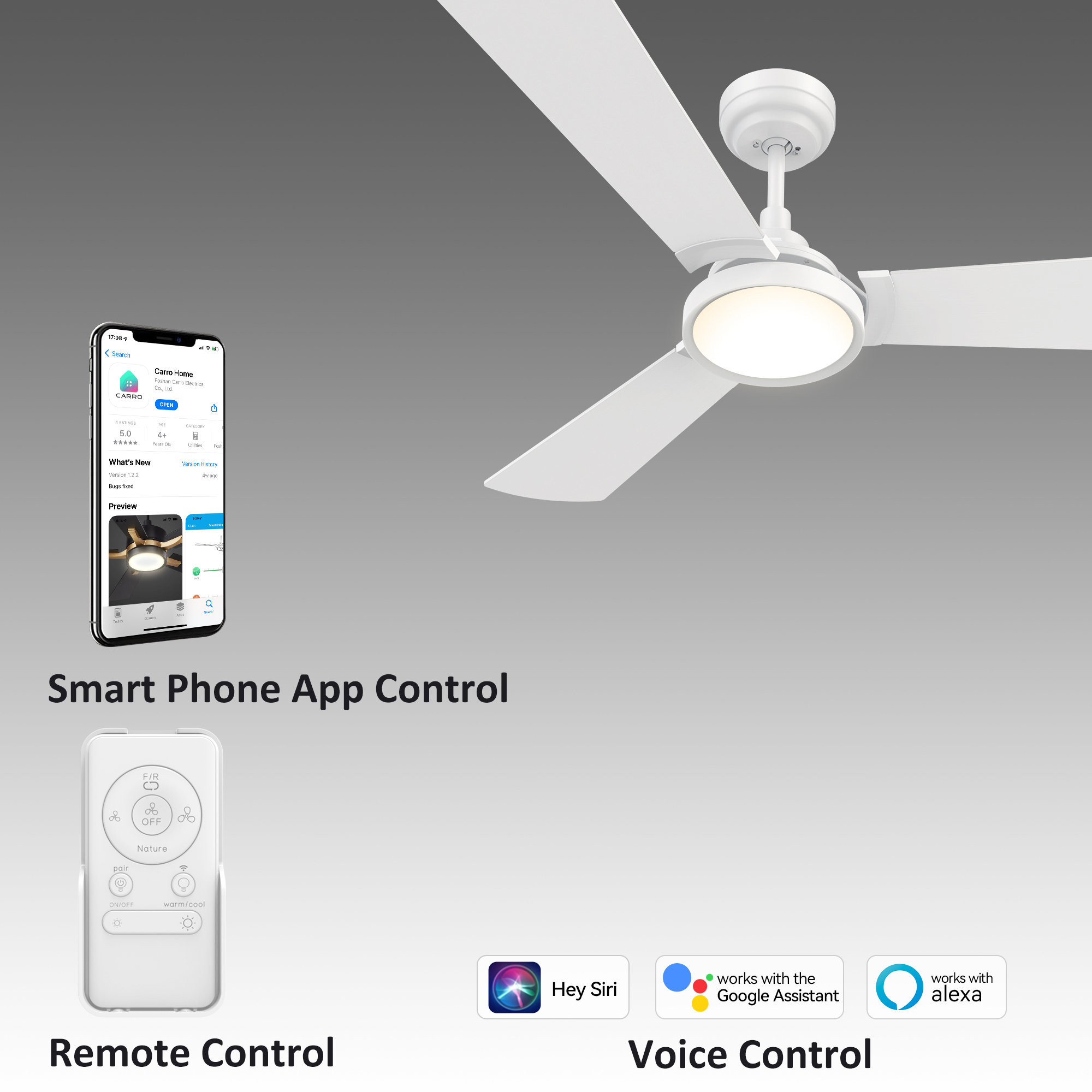 Ivy Bronx Dechlan 52'' Ceiling Fan with LED Lights - Wayfair Canada