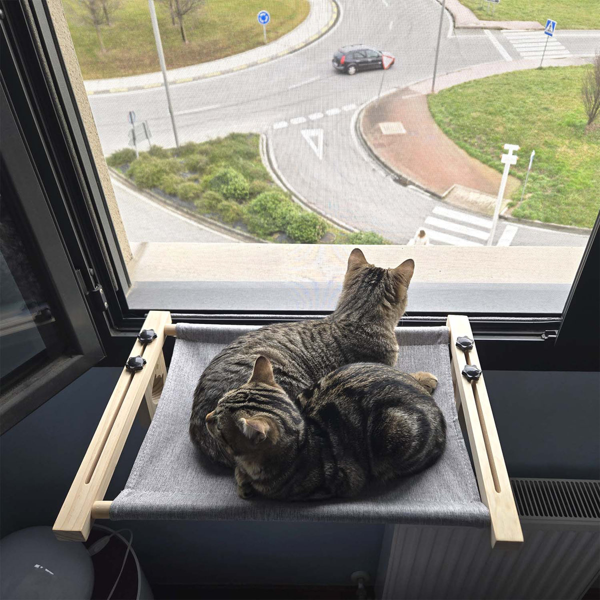 Tucker Murphy Pet™ Cat Window Perch Sturdy Cat Hammock Window Seat With ...