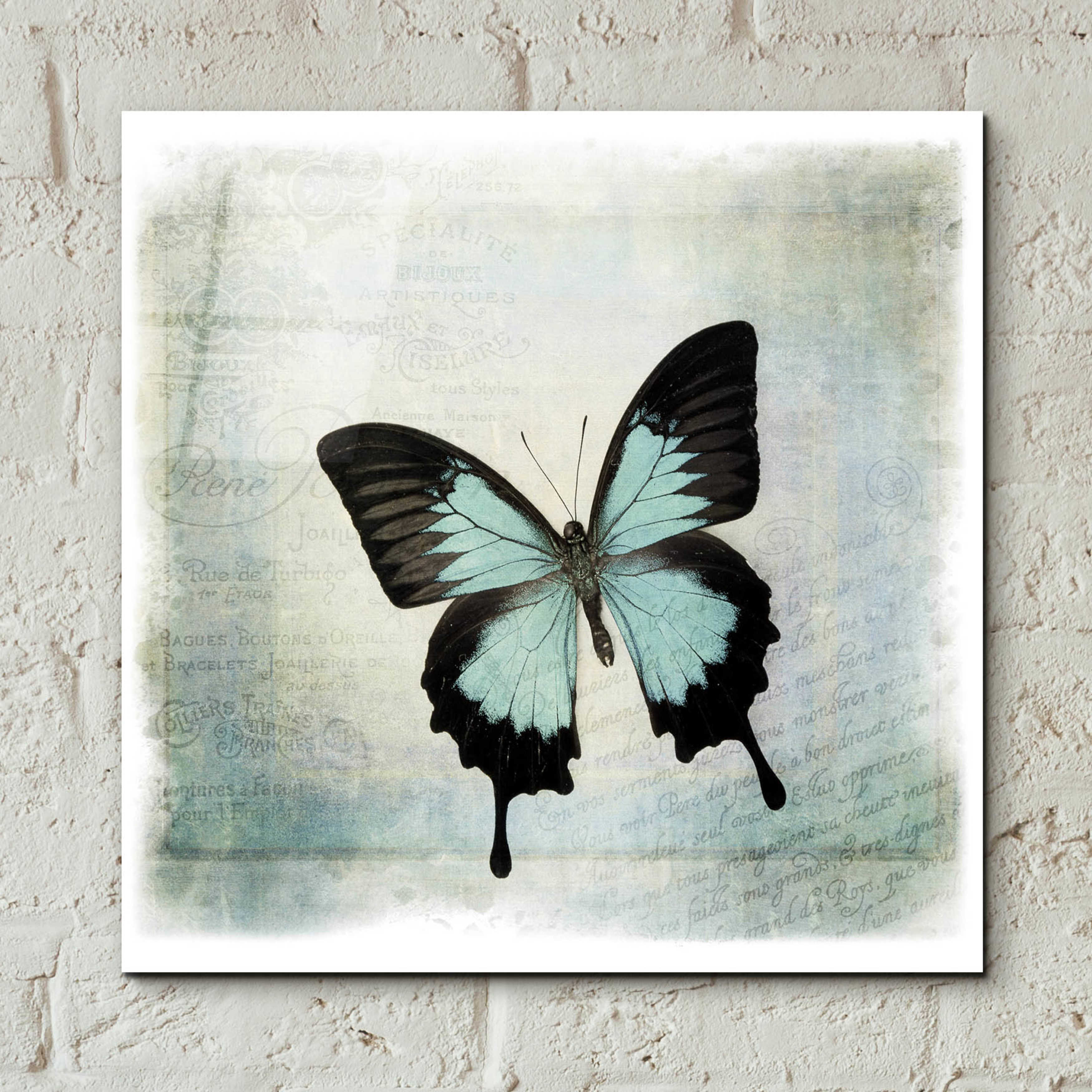 August Grove® Floating Butterfly III by Debra Van Swearingen - Picture ...