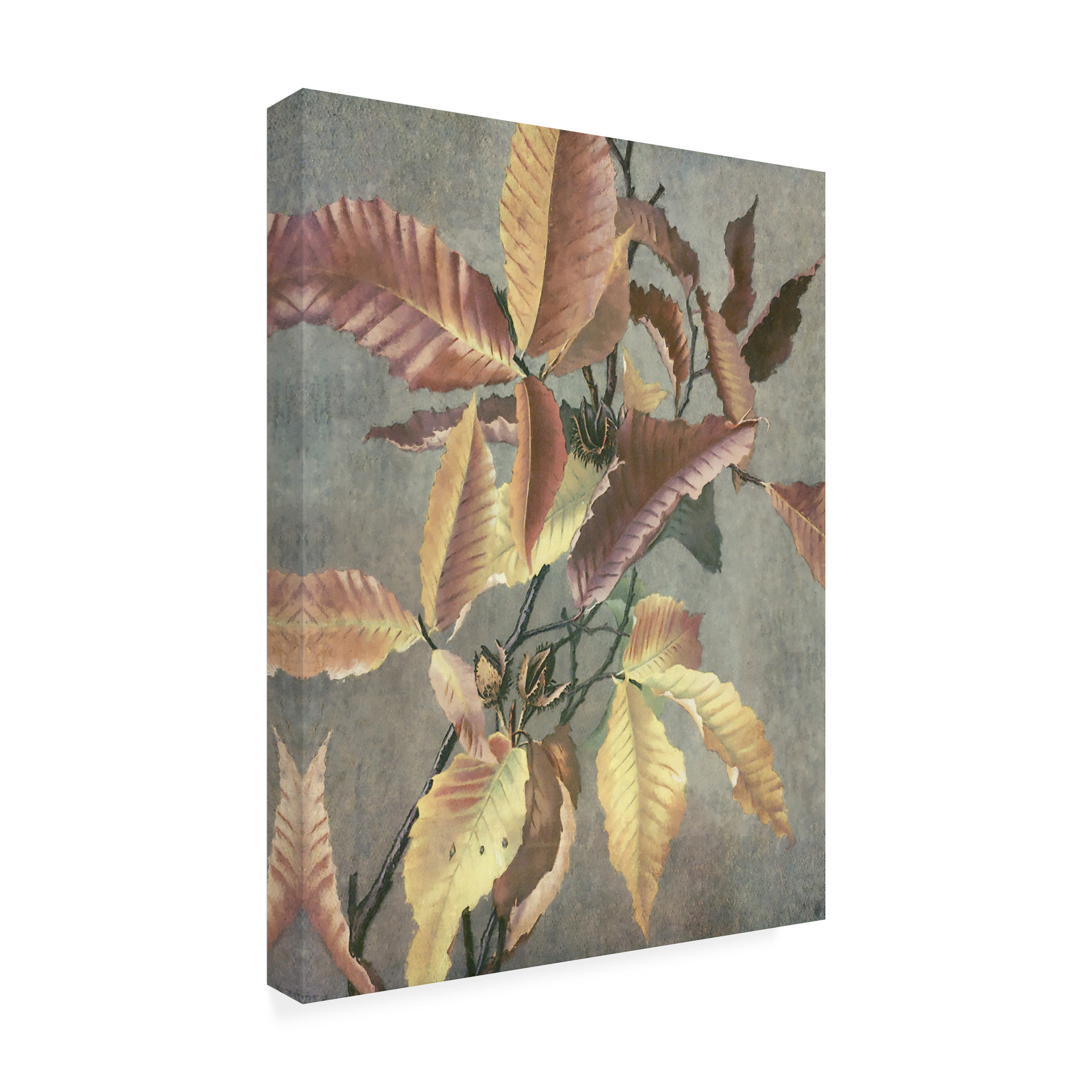 August Grove® Ancient Autumn I by Steve Hunziker - Unframed Print on ...