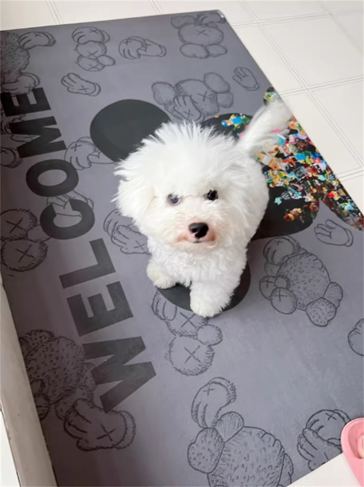Tucker Murphy Pet™ Pet specific waterproof and urine proof pad - dog ...