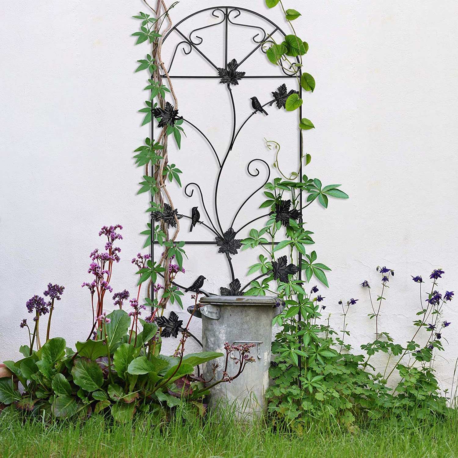 Red Barrel Studio Metal Garden Trellis For Climbing Plants - Wayfair Canada