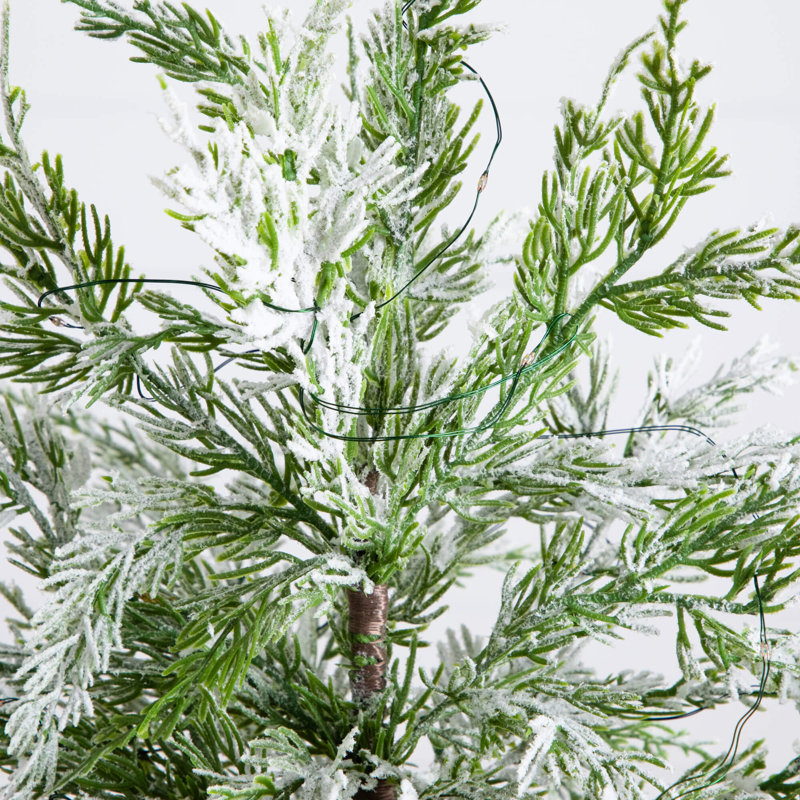 The Holiday Aisle® 18In. Pre-Lit Artificial Mini Snowed Cypress ...