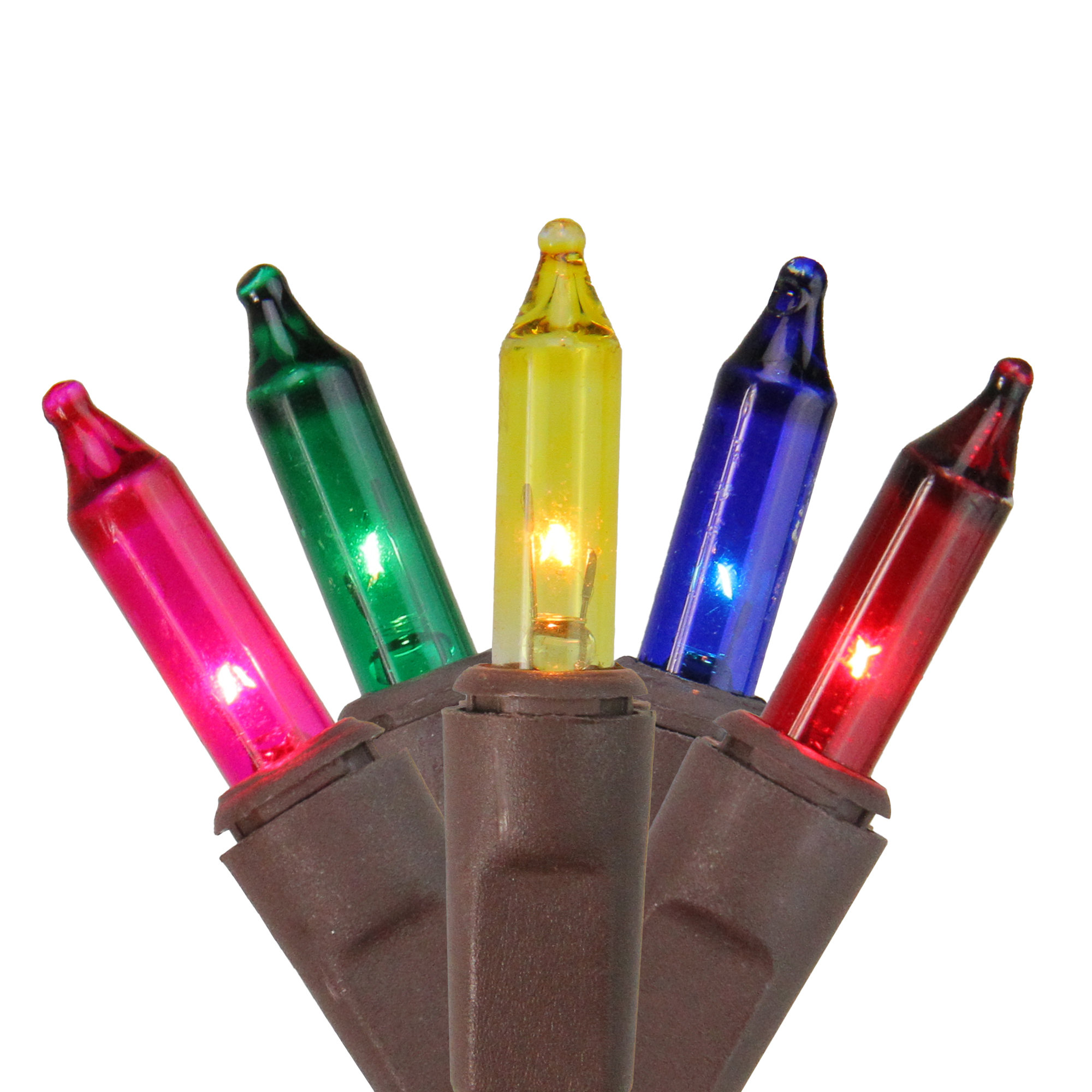 The Holiday Aisle® Mini Net Style Christmas Lights & Reviews | Wayfair