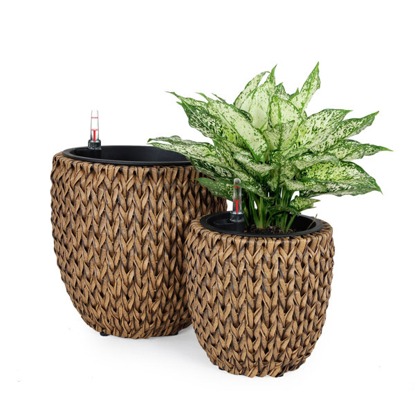 Bay Isle Home Adriyel Pot Planter - Wayfair Canada