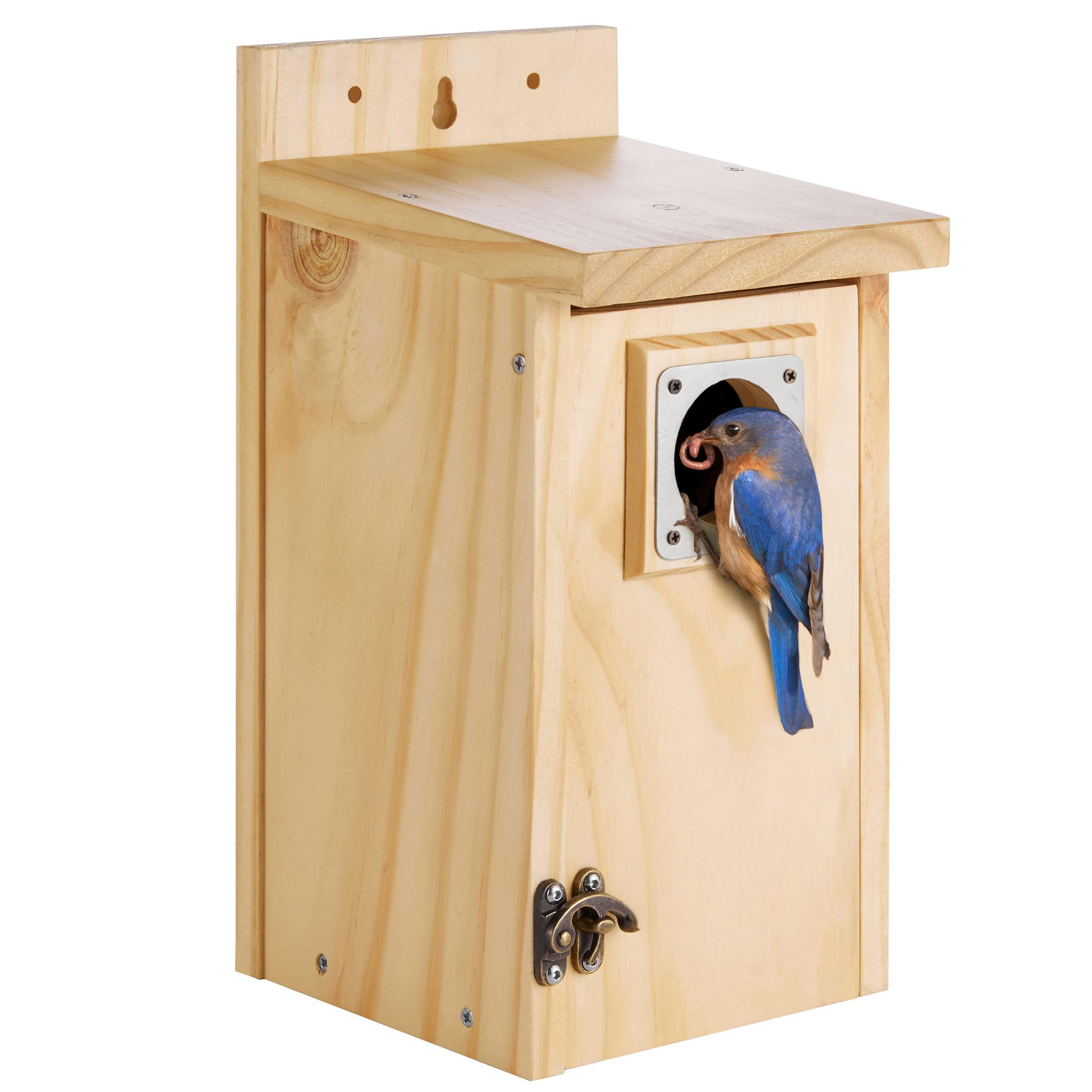 Gracie Oaks Blue Bird House For Outdoors - Classic Wooden Bluebird ...