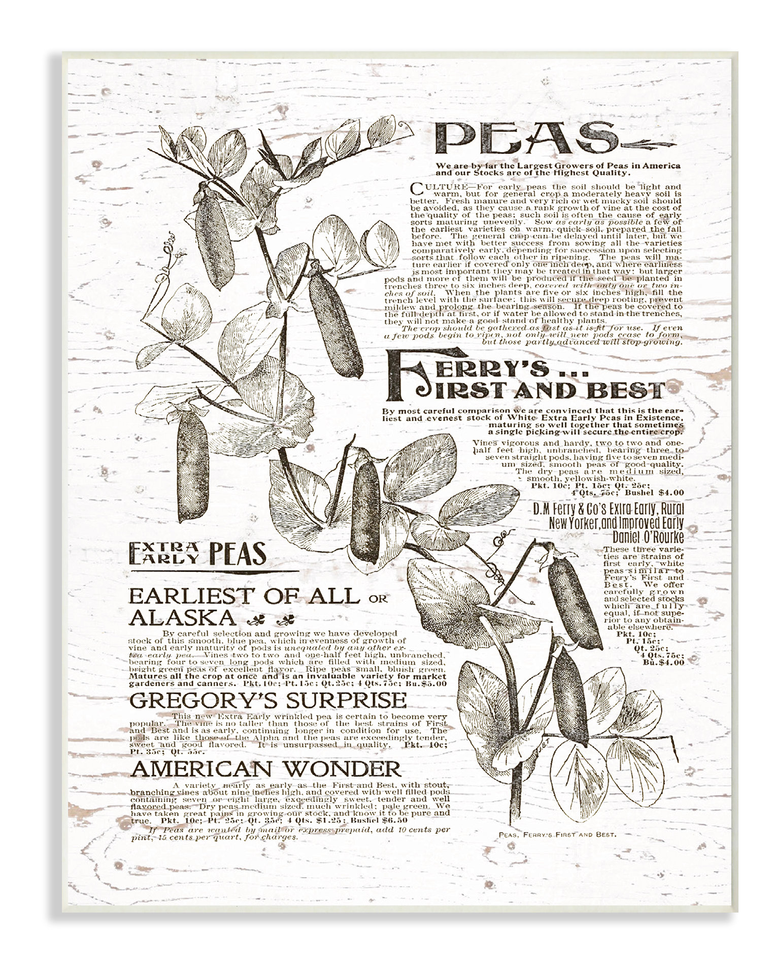 Stupell Industries Vintage Peas Sign by Lettered and Lined - Picture ...