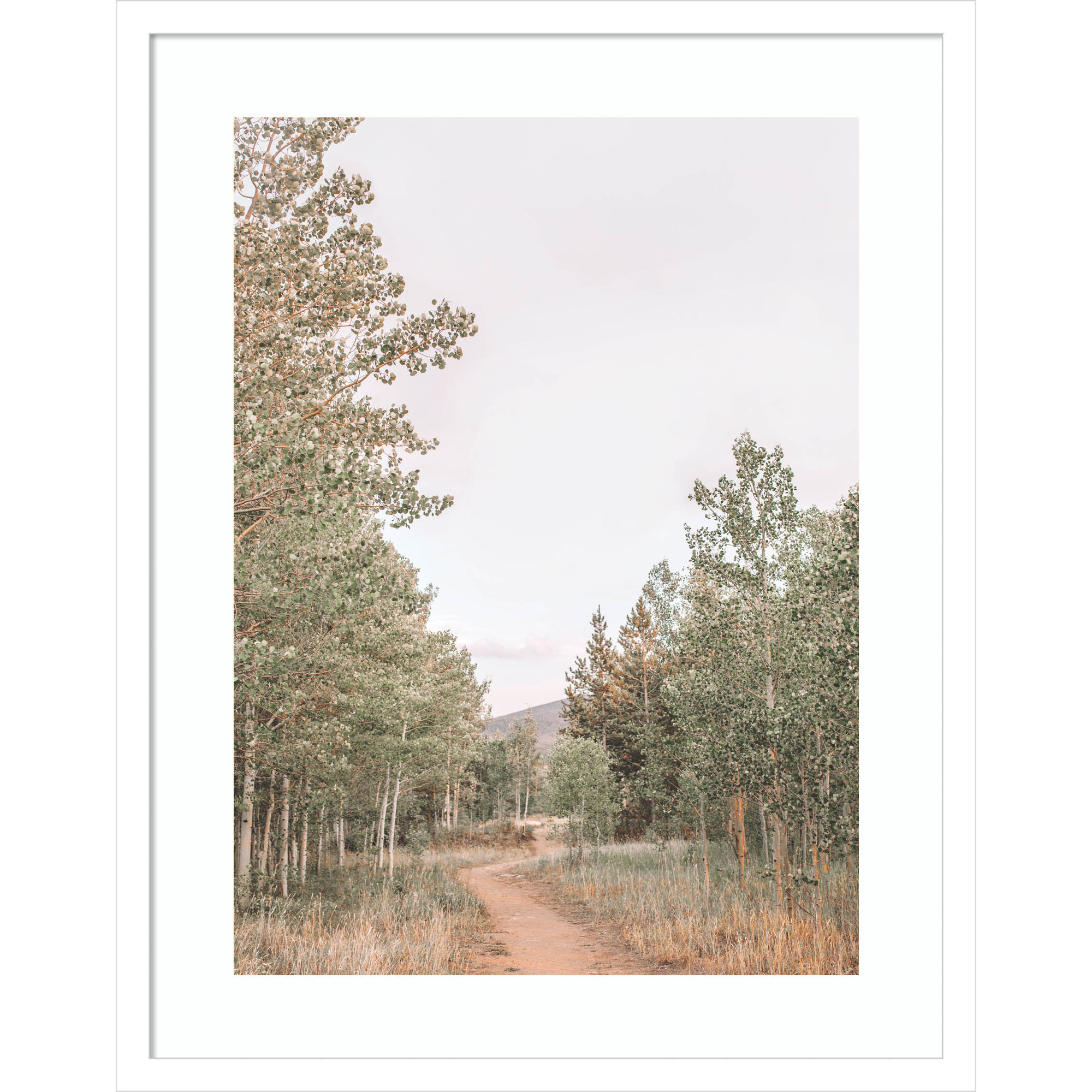 Birch Lane™ Clancy Winding Path by Alicia Abla - Single Picture Frame ...