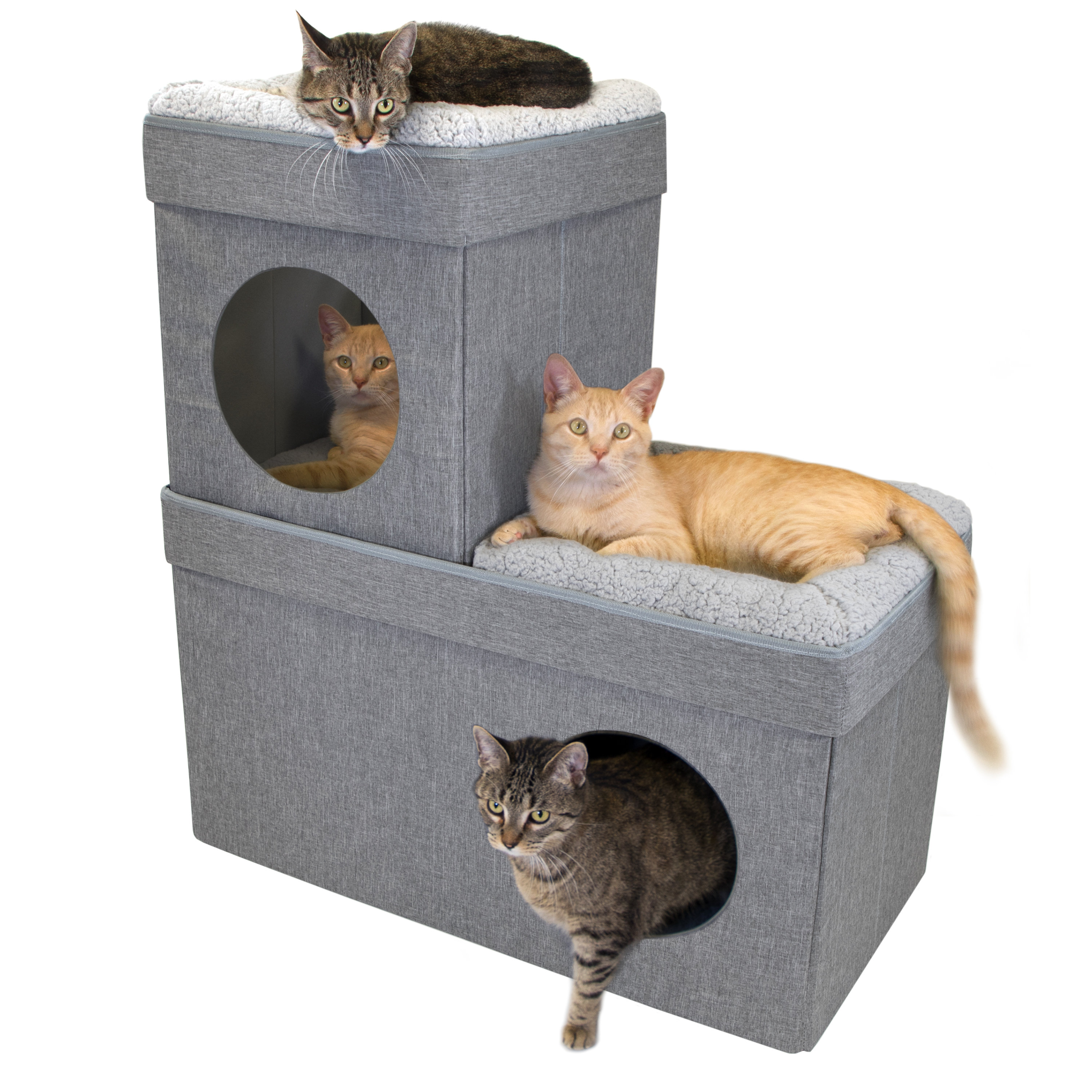 Tucker Murphy Pet™ Gailey Square Cat Bed & Reviews - Wayfair Canada