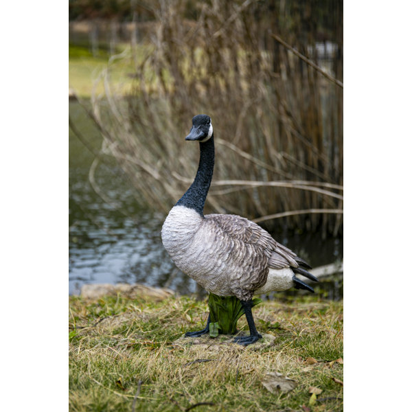 Hi-Line Gift Ltd. Standing Canada Goose Statue & Reviews | Wayfair