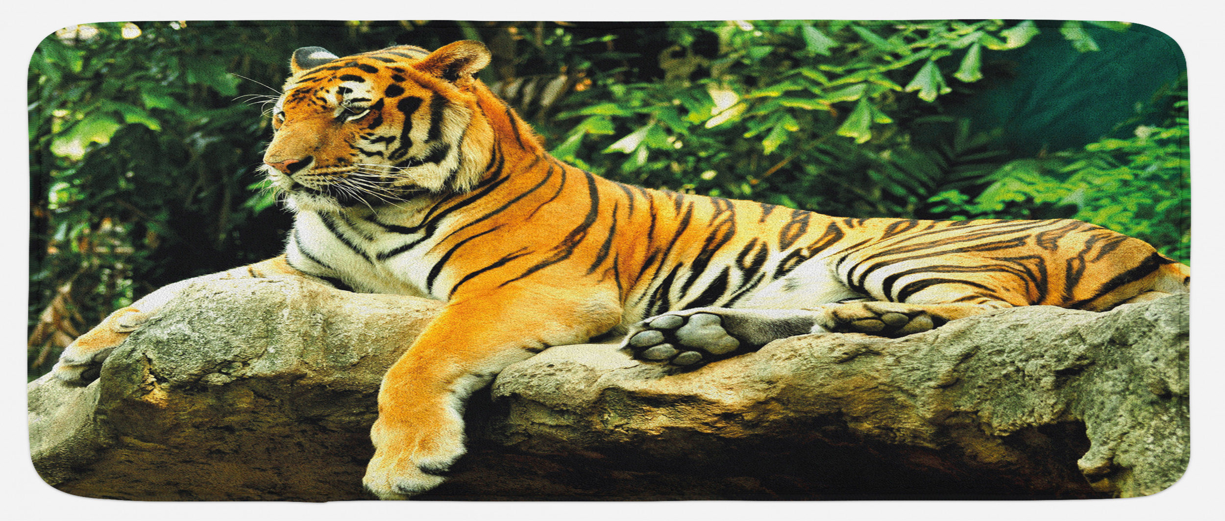 East Urban Home Resting Feline In The Forest On A Large Rock Sublime ...