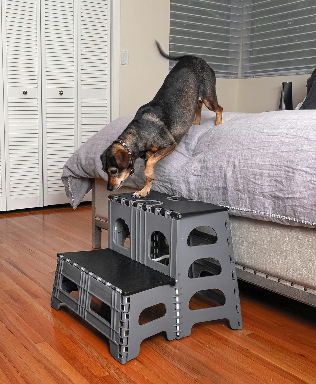 Tucker Murphy Pet™ 2 Step Folding Dog Stairs And Ramp For Your Pet ...