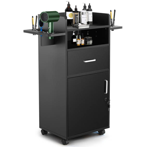 Winston Porter Salon Trolley Cart for Hair Salon Station - Wayfair Canada