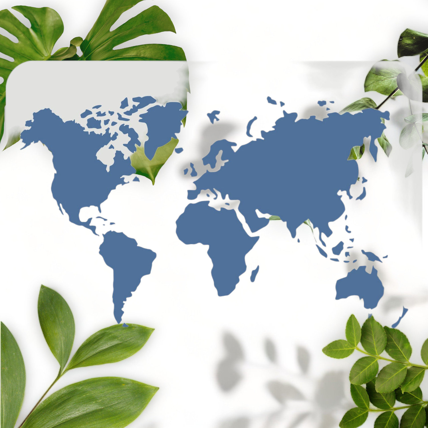 Pacific Funds Reusable DIY World Map Template | Wayfair