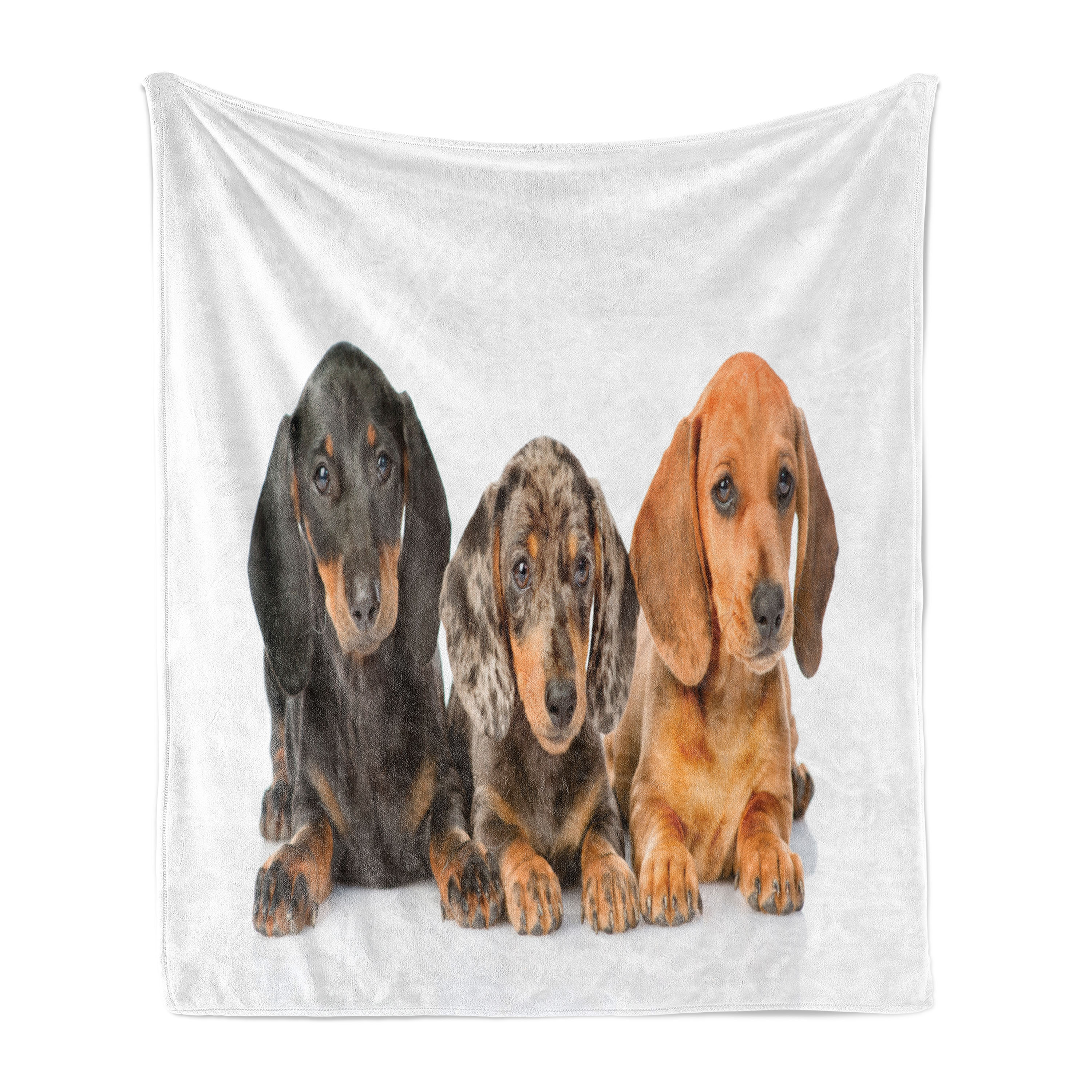 Ambesonne Dachshund Fleece Throw Blanket Different Color Dogs Lays Dark ...