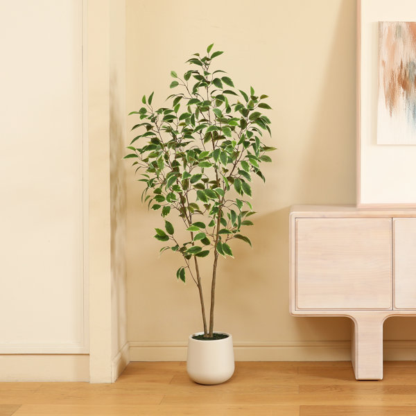 Primrue Adcock Fake Ficus Tree with Round White Planter, Pre Potted ...