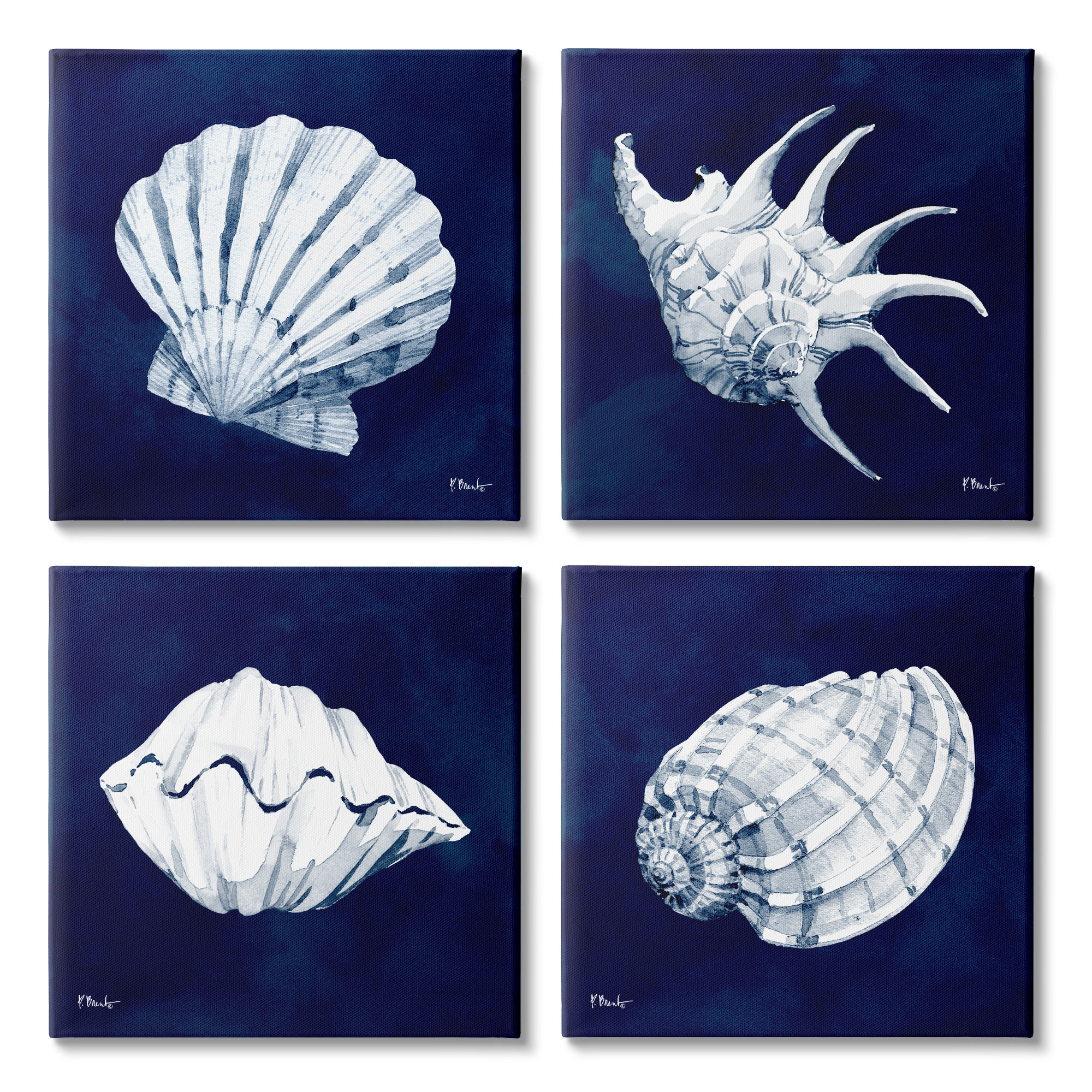 Latitude Run® Traditional Cyanotype Shells by - 4 Piece Wrapped Canvas ...