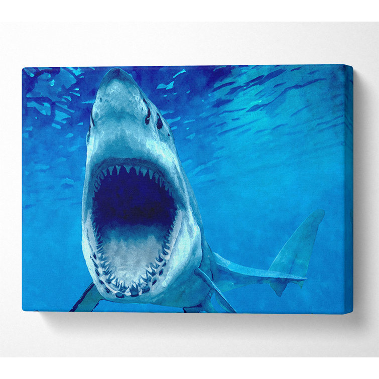 House of Hampton White Shark Teeth - Print | Wayfair.co.uk