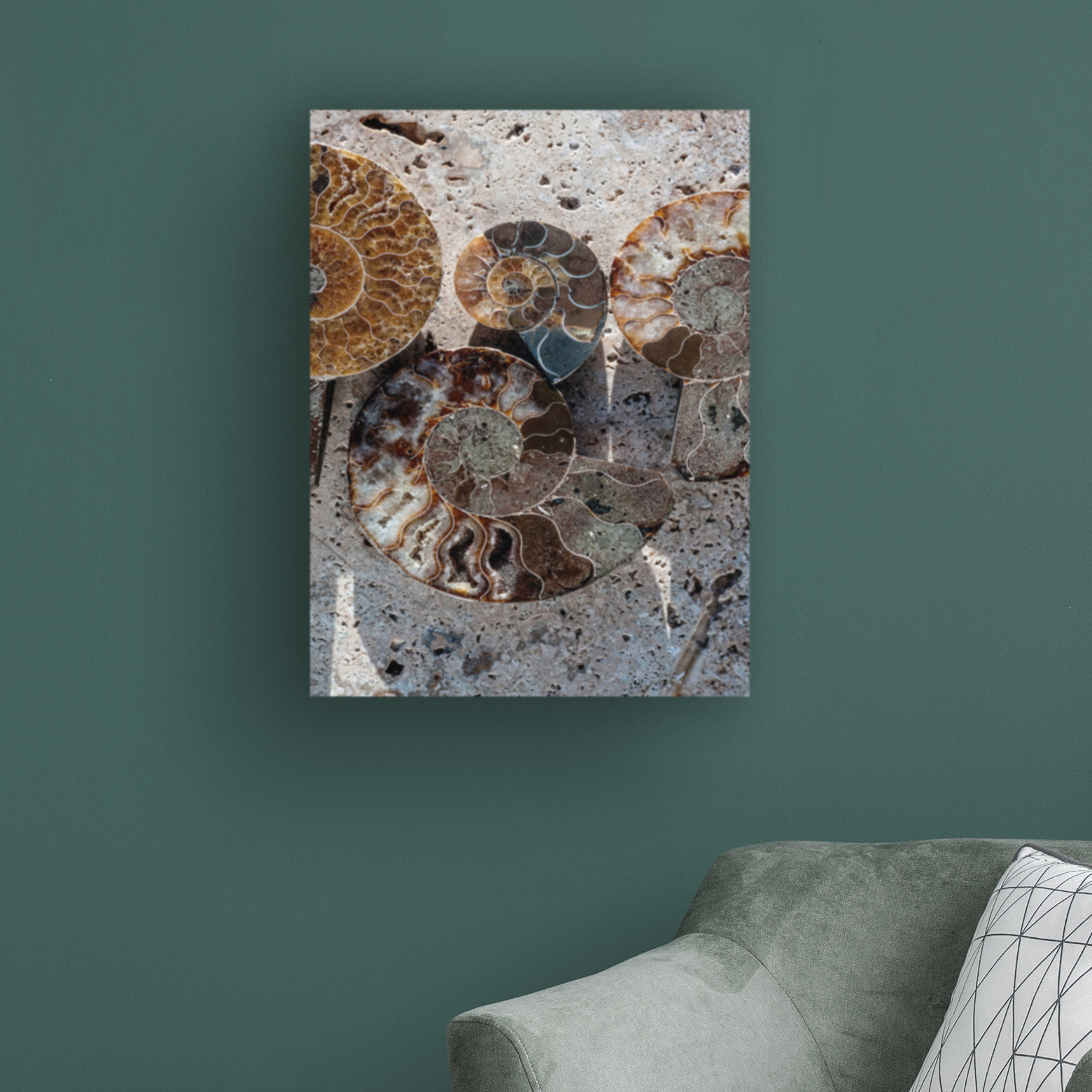 Highland Dunes Elena Ray 'Gifts Of The Shore XI' Canvas Art | Wayfair