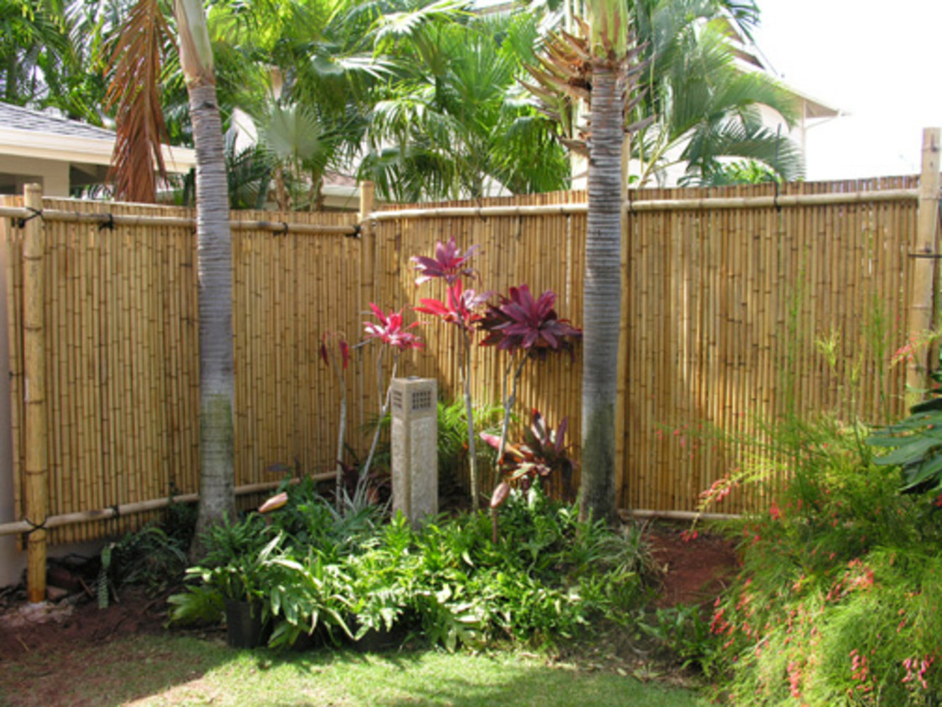 MGP Tonkin Bamboo Fencing & Reviews | Wayfair