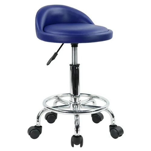 Inbox Zero Backed Adjustable Height Ergonomic Lab Stool with Footring ...