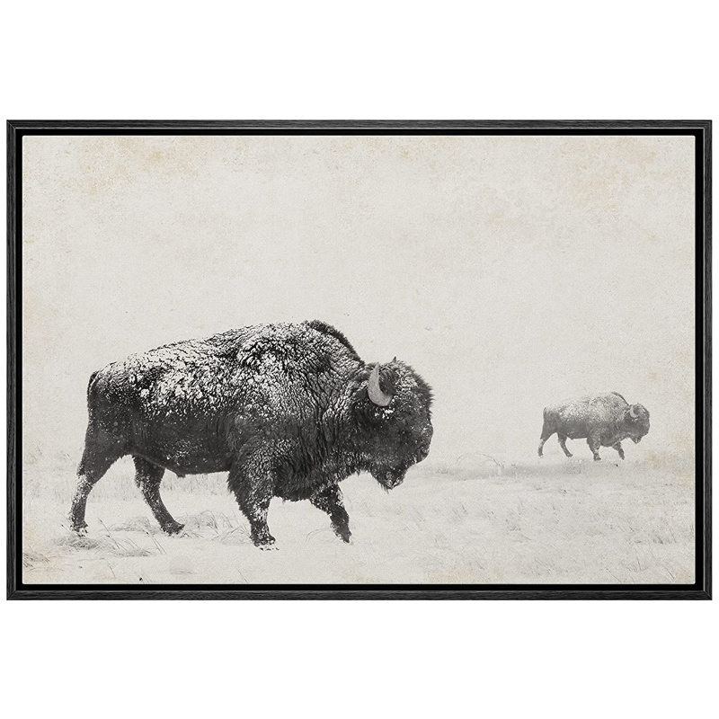 SIGNLEADER Black & White Bison Buffalo Landscape Framed On Canvas Print ...