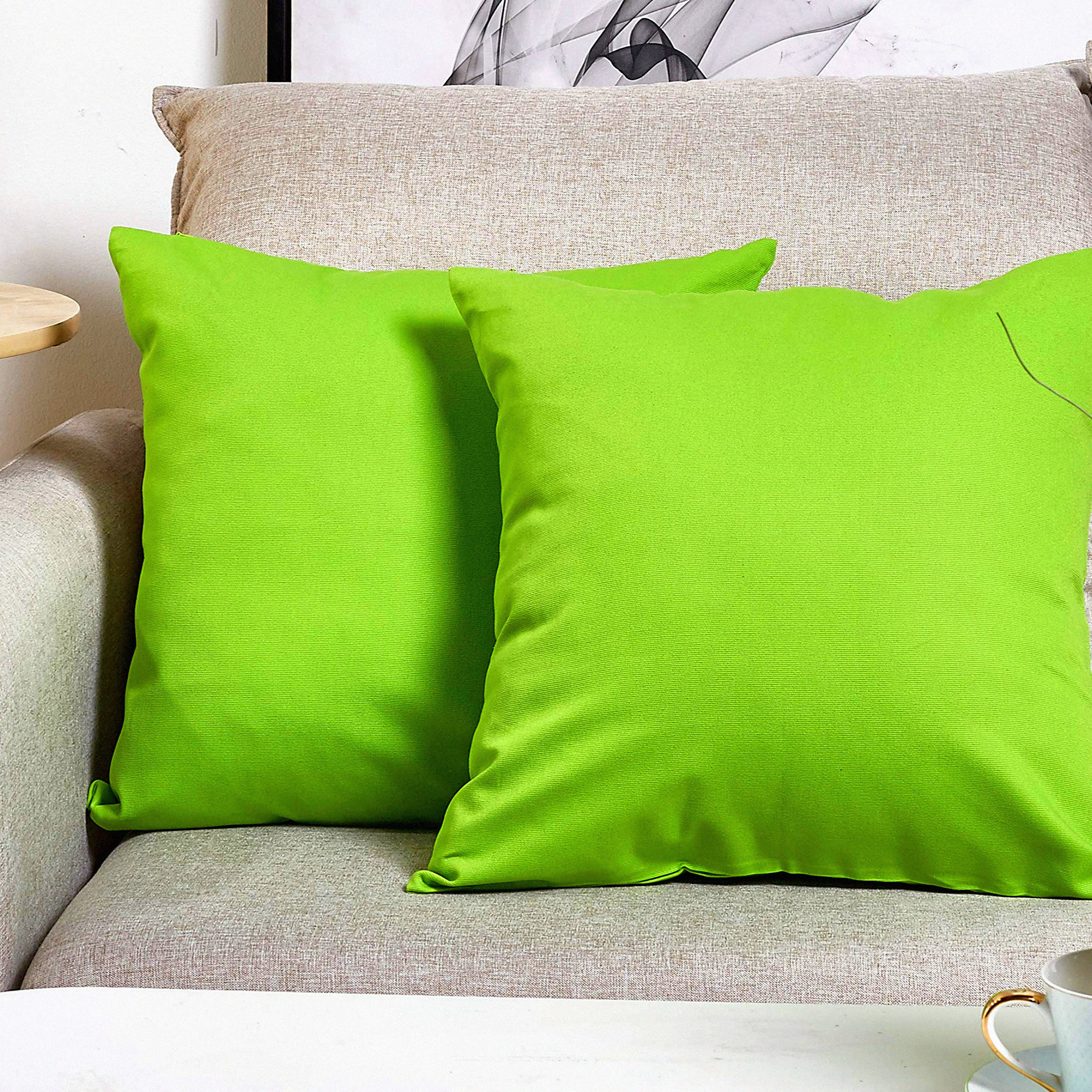 BRBCA Cotton Decorative Pillow Covers - Set of 2, Apple Green - 100% ...