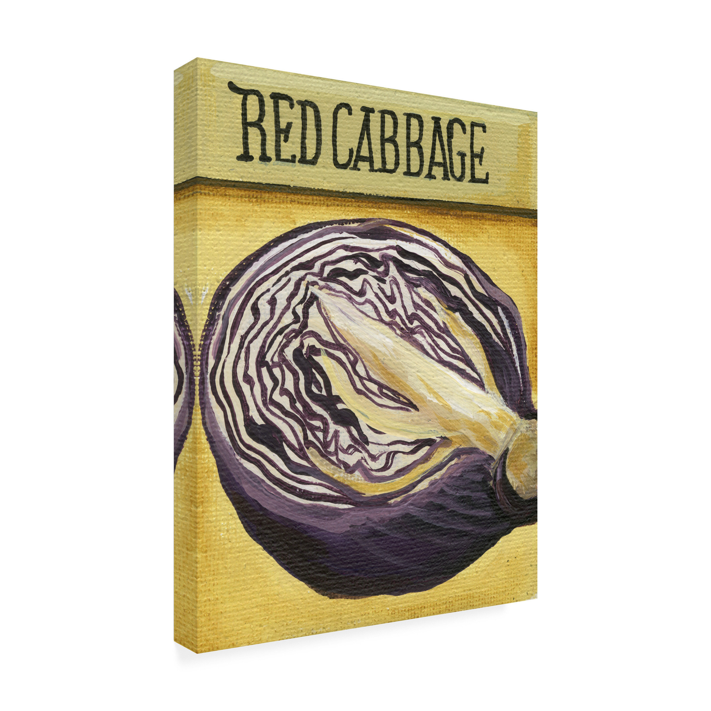 August Grove® Krithvik Seed Packets 21 - Red Cabbage On Canvas by Debbi ...