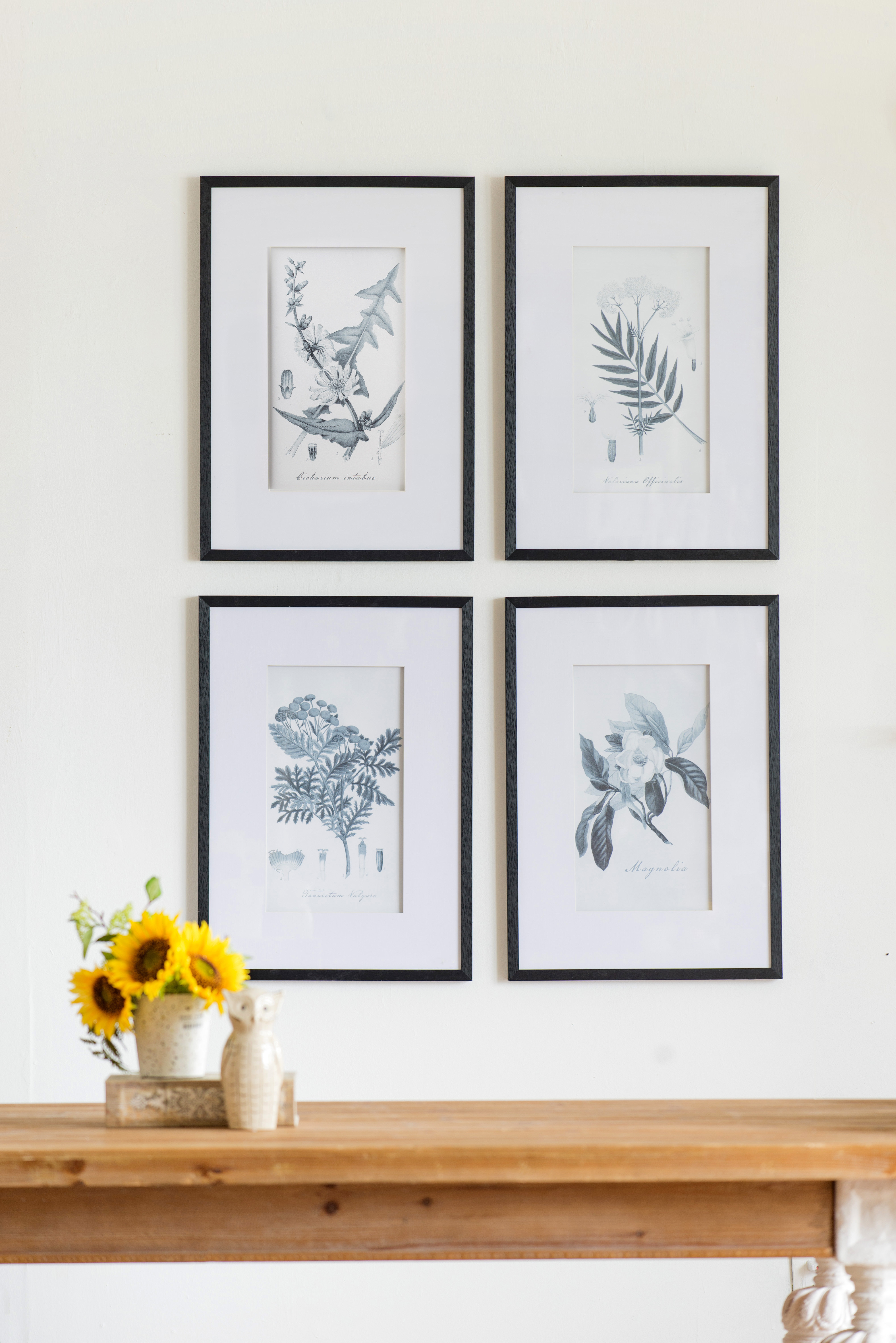 NFusion Cirelle Traditional Pencil Art Prints with Premium Quality ...