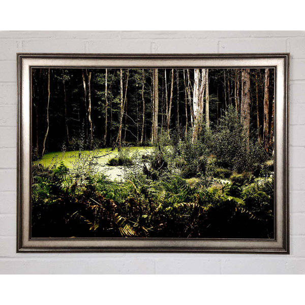 Union Rustic Swamp In The Depth Of The Forest - Single Picture Frame ...