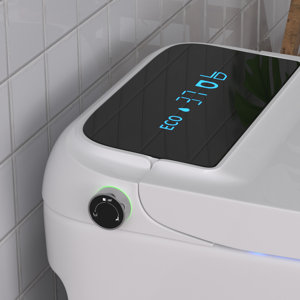 BCAN Smart Toilet With Tankless Bidet Wash, Auto-open Lid/seat, 1.28 ...