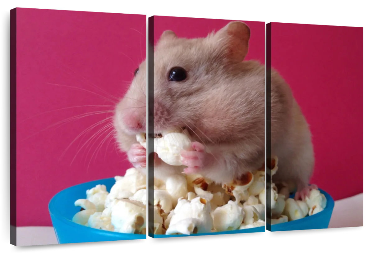Trinx Ketti Hamster Eating Popcorn | Wayfair