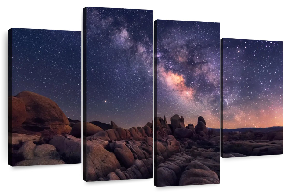 Elephant Stock Joshua Tree Milky Way | Wayfair