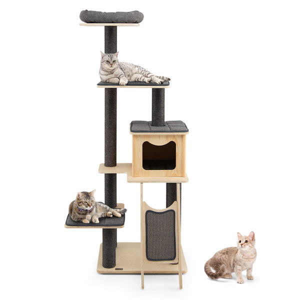 Archie & Oscar™ 69" Minster Wood Cat Tree & Reviews | Wayfair