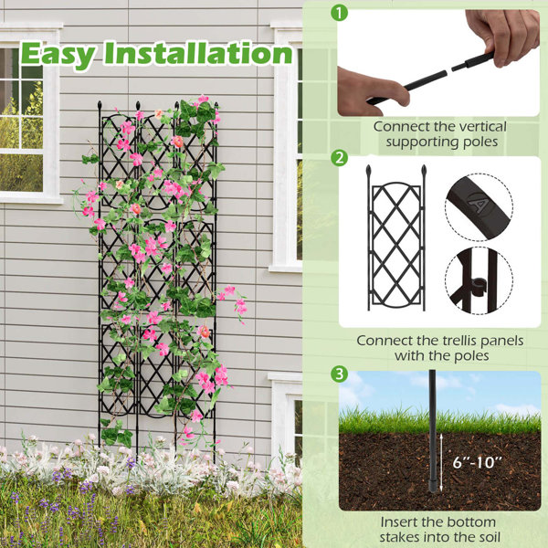 Winston Porter 1 Pcs Garden Trellis For Climbing Plants Rustproof Metal ...