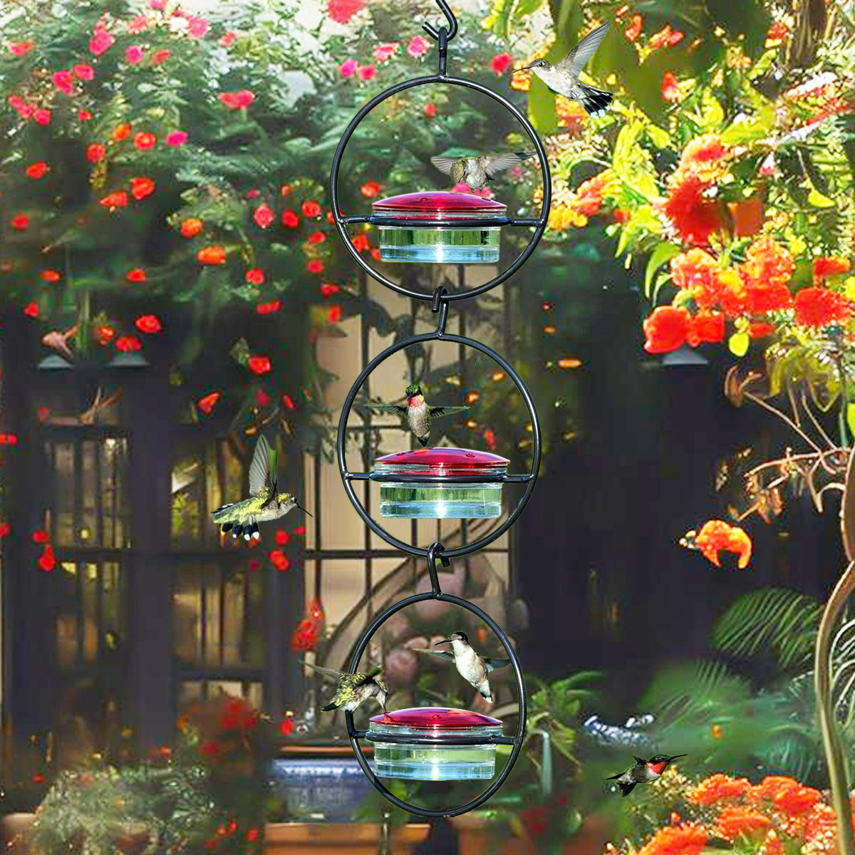 Ebern Designs Ragin Glass Hanging Hummingbird Feeder | Wayfair