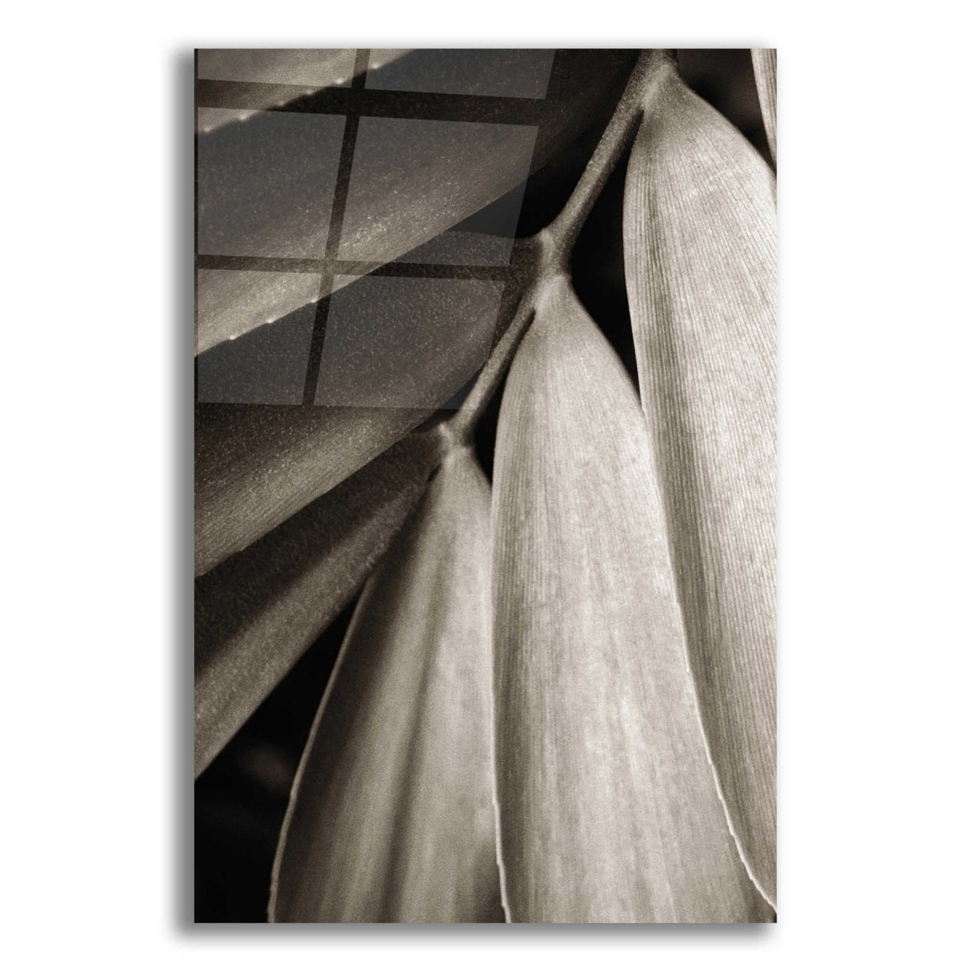 Bay Isle Home™ Bay Isle Home 'Tropical Plant II' By Debra Van ...