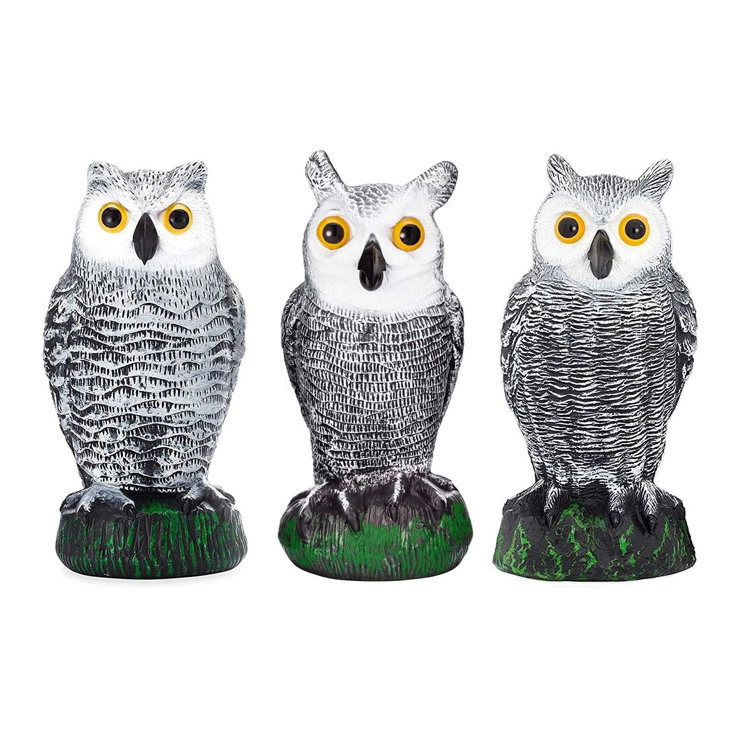Loon Peak® 3 Piece Fake Owl Decoy and Bird Deterrent Set - Wayfair Canada
