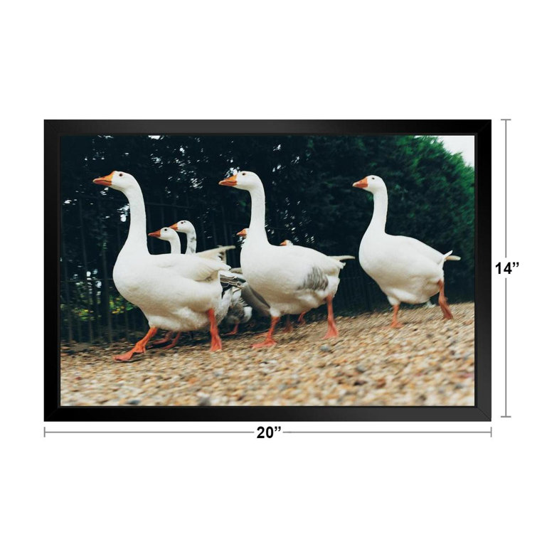 Gracie Oaks Gaggle of Geese - Picture Frame Print | Wayfair