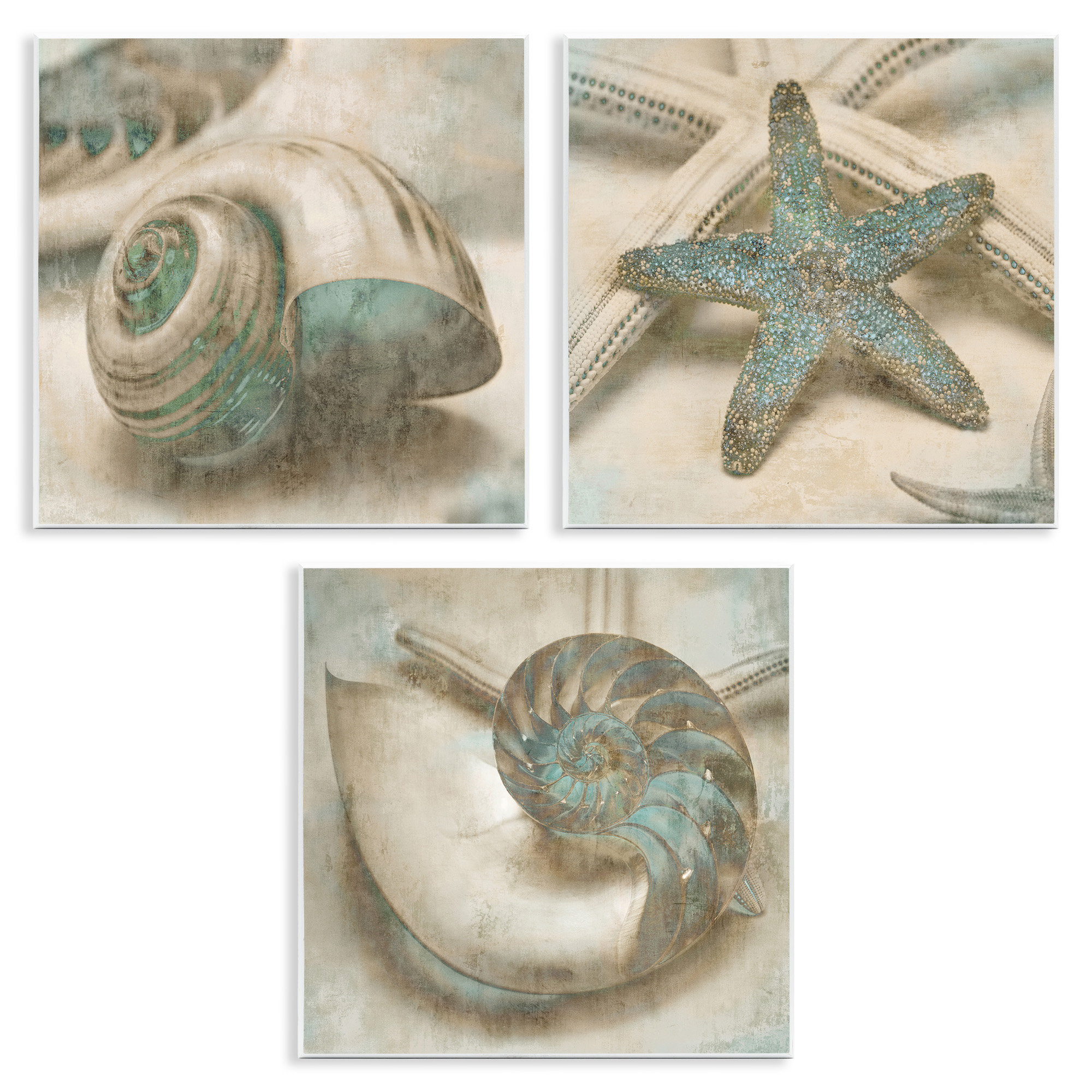 Dovecove 'Star Fish and Sea Shells Distressed Texture Blue Tan Design ...