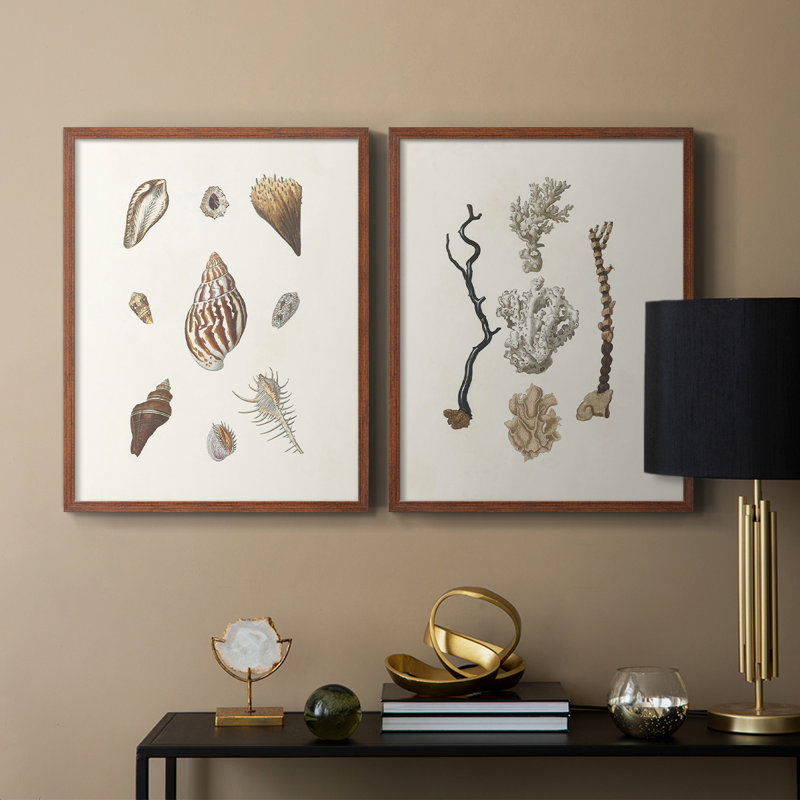 Wexford Home Knorr Shells & Coral IX-Premium Framed Print -Ready to ...